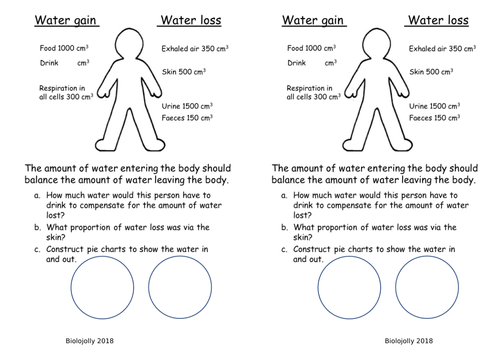 Homeostasis introduction lesson | Teaching Resources Homeostasis introduction lesson | Teaching Resources