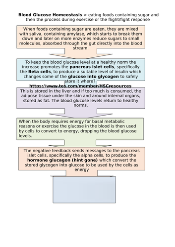 Homeostasis system the balancing blood glucose level and energy use and ...