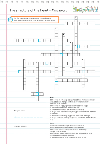 Structure of the Heart - Crossword (KS5) | Teaching Resources