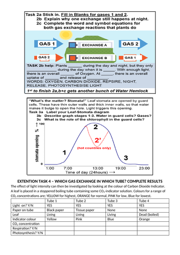 Year 8, Gas Exchange, Unit of Work | Teaching Resources