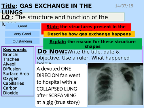 Year 8, Gas Exchange, Unit of Work | Teaching Resources