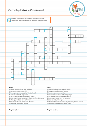Carbohydrates - Crossword (KS5) | Teaching Resources