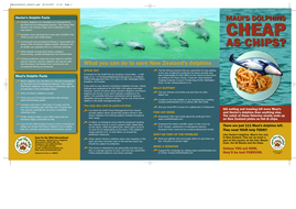 Endangered and Extinct Animals - research and campaign leaflets ...