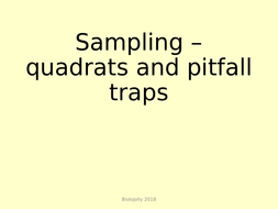 Sampling - Pitfall traps and Quadrats lesson | Teaching Resources