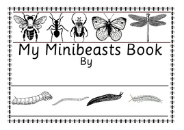 30 Page UK Minibeasts Bugs Insects Student Fact & Workbook A4 ...