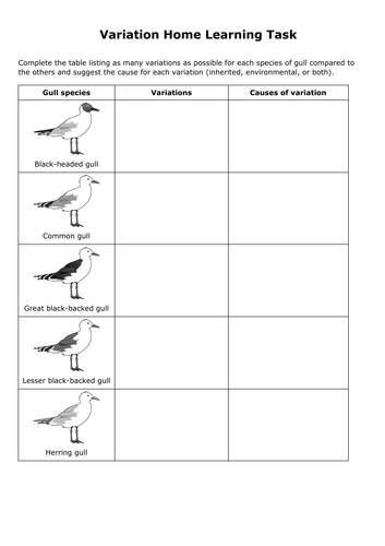 New KS3 Science: Genes - Variation (Lesson 1) | Teaching Resources