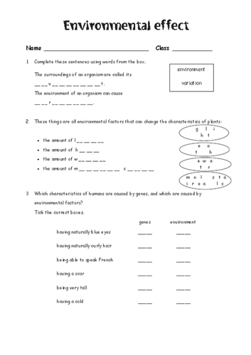 New KS3 Science: Genes - Variation (Lesson 1) | Teaching Resources