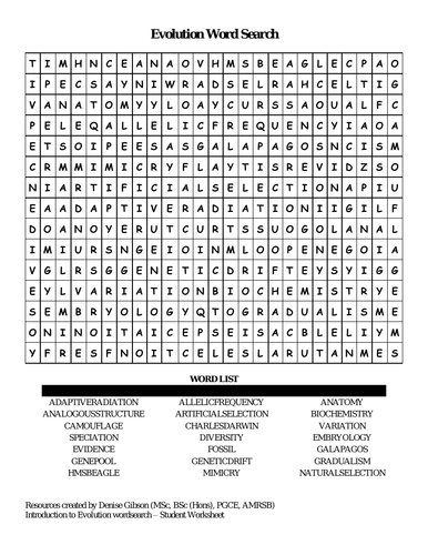 Evolutionary Terms Word Search | Teaching Resources