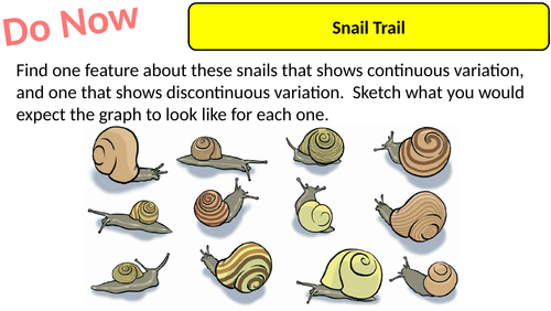 New KS3: Genes - Adapting To Change (Lesson 3) | Teaching Resources