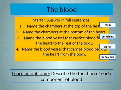 Blood | Teaching Resources