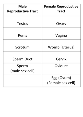 New KS3: Genes - Reproductive System (Lesson 5) | Teaching Resources