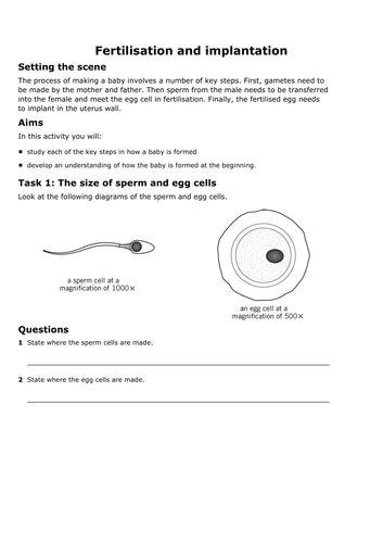 New KS3: Genes - Fertilisation & Implantation (Lesson 6) | Teaching ...