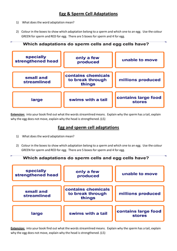 New KS3: Genes - Fertilisation & Implantation (Lesson 6) | Teaching ...