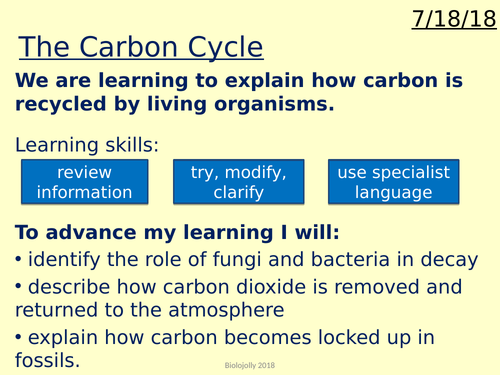 Carbon cycle lesson | Teaching Resources