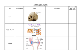Types of Joint | Teaching Resources