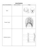 The Axial and Appendicular Skeleton | Teaching Resources