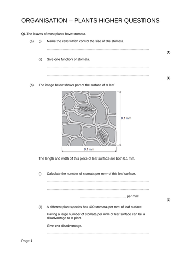 GCSE Biology - Organisation Exam Packs x3 for both FT and HT | Teaching ...