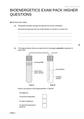 GCSE Biology - Bioenergetics (Respiration & Photosynthesis Exam Packs ...