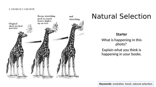 AQA Activate 2 Natural Selection | Teaching Resources