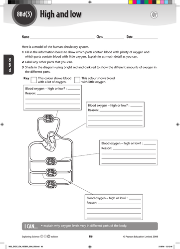New AQA GCSE The Heart and Blood Vessels (2 lessons) | Teaching Resources