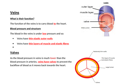 New AQA GCSE The Heart and Blood Vessels (2 lessons) | Teaching Resources
