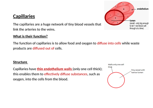 New AQA GCSE The Heart and Blood Vessels (2 lessons) | Teaching Resources