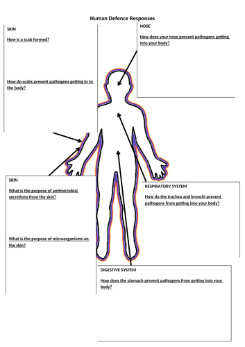 Human defence responses - primary immune system | Teaching Resources