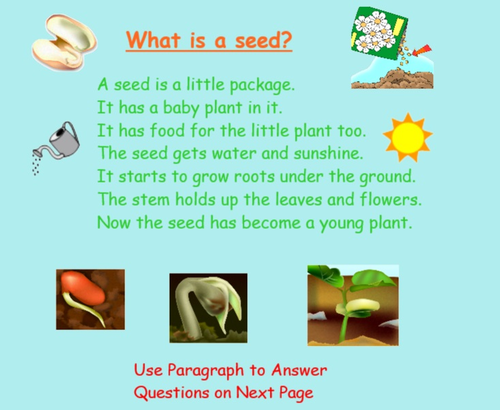 Plant Life Cycles unit (Smart Board Doc & Slide Shows & Review & quiz ...