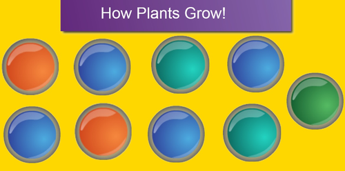 Plant Life Cycles unit (Smart Board Doc & Slide Shows & Review & quiz ...