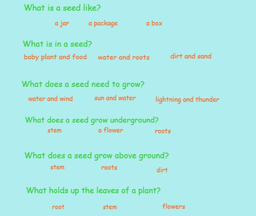 Plant Life Cycles unit (Smart Board Doc & Slide Shows & Review & quiz ...