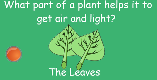 Plant Life Cycles unit (Smart Board Doc & Slide Shows & Review & quiz ...