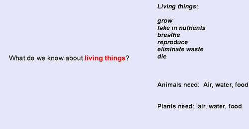 Plant Life Cycles unit (Smart Board Doc & Slide Shows & Review & quiz ...