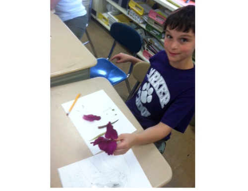 Plant Life Cycles unit (Smart Board Doc & Slide Shows & Review & quiz ...