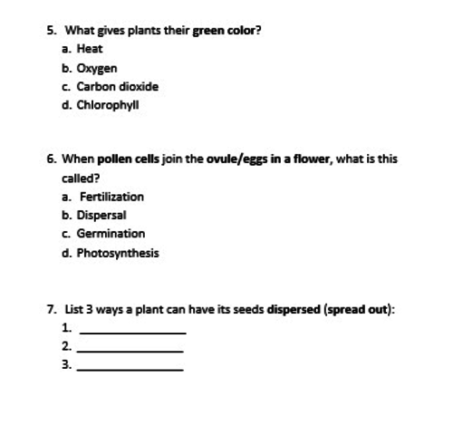 Plant Life Cycles unit (Smart Board Doc & Slide Shows & Review & quiz ...