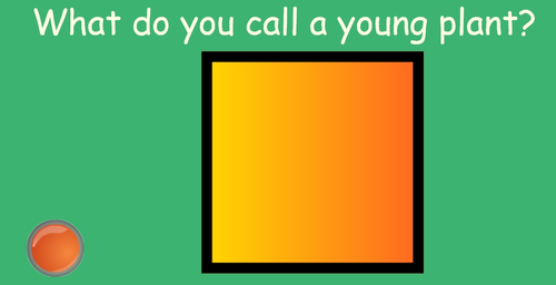 Plant Life Cycles unit (Smart Board Doc & Slide Shows & Review & quiz ...