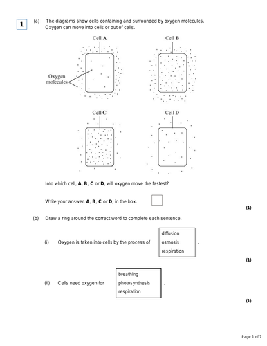 B1.6 Diffusion | Teaching Resources