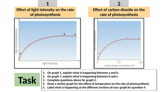 B8.2 The rate of photosynthesis | Teaching Resources