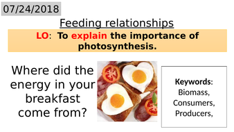 B17.1 Feeding relationships | Teaching Resources