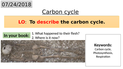 B17.3 The Carbon Cycle | Teaching Resources