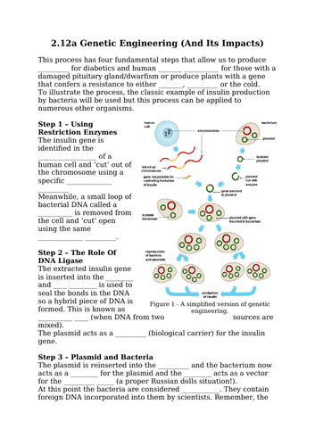 Genetic Engineering (Fill-In-Blanks) | Teaching Resources