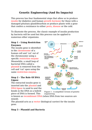 Genetic Engineering (Fill-In-Blanks) | Teaching Resources