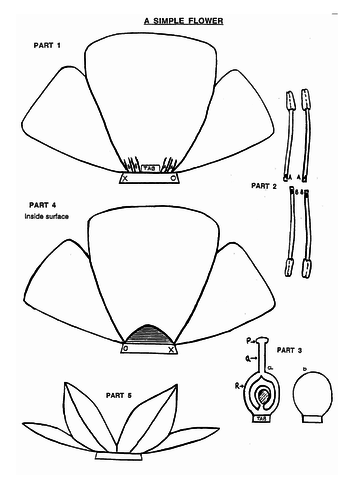 A Simple Flower Cut-And-Stick (GCSE or 6th Form) | Teaching Resources