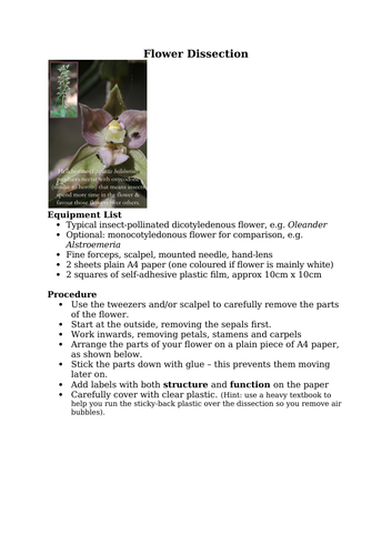 Flower Dissection (Structure & Function Of A Flower - GCSE Or 6th Form ...