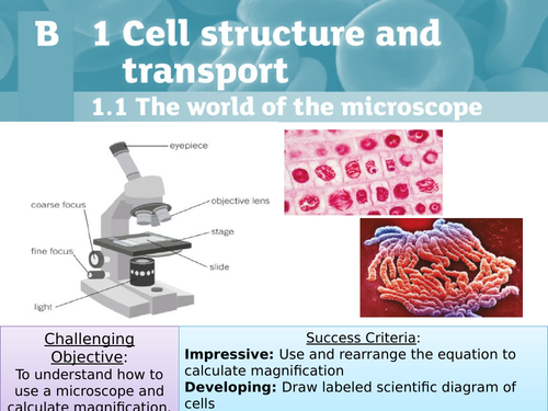 AQA New Specification - The World of the Microscope - B1.1 | Teaching ...