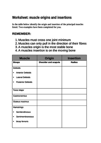 BTEC Sport Fitness Training & Programming | Teaching Resources