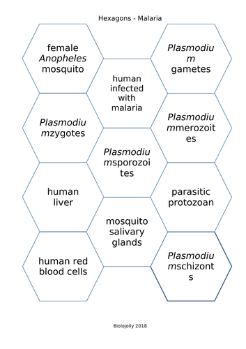 Malaria - SOLO Hexagons | Teaching Resources