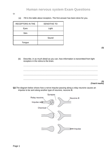 B10.2 Nervous system | Teaching Resources