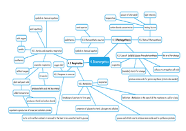 Bioenergetics 4 - Mindmap AQA Biology GCSE by jtranah | Teaching Resources