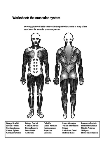 BTEC Sports Injuries | Teaching Resources