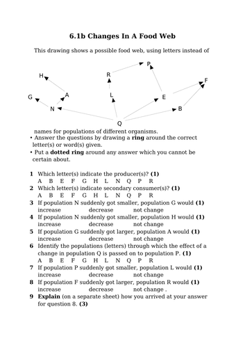 Food Chains & Food Web (GCSE) | Teaching Resources